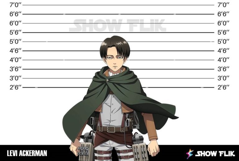 How Tall is Levi Ackerman from Attack on Titan? Is he short? | Show Flik